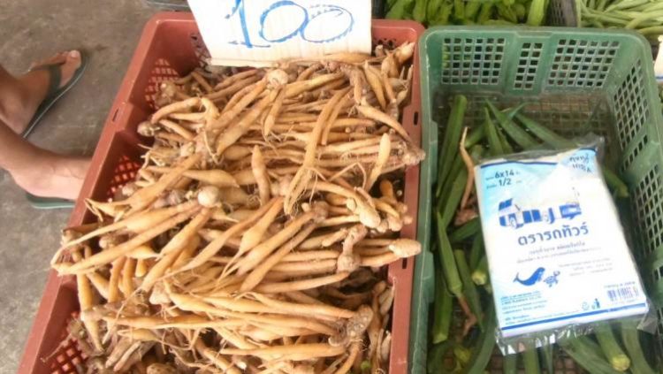 Pad Prik King Moo - Delicious Thai Ginger Dry Red Curry